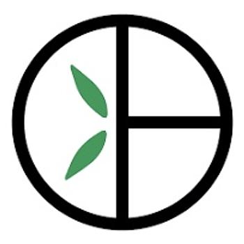 Bamboo Basics | Brands | CommonShare