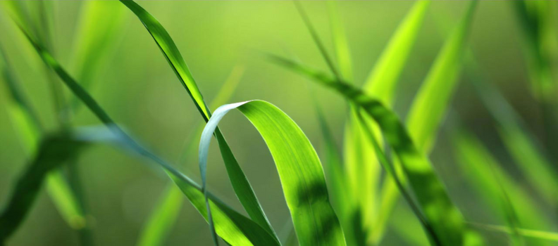 Green-e Climate | Standards | CommonShare