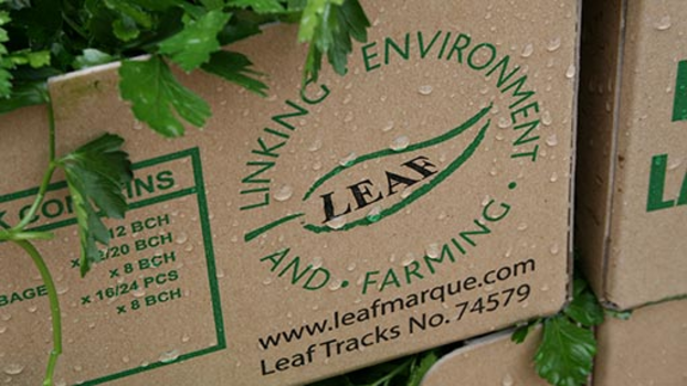 LEAF Marque | Standards | CommonShare