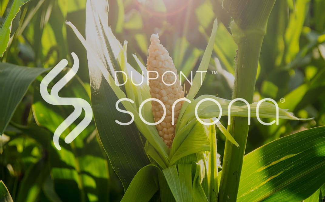 What is Sorona Fabric? | CommonShare Blog