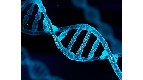 DNA Tracking Technology: Revolutionising Transparency in the Apparel ...