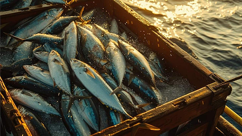 World’s First Circular Fish Farm in Denmark: Onnest Trout Farm ...