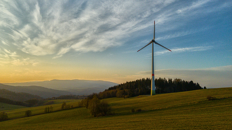 New PEFC RED III Standards: Feedback Invitation for Compliance with EU ...
